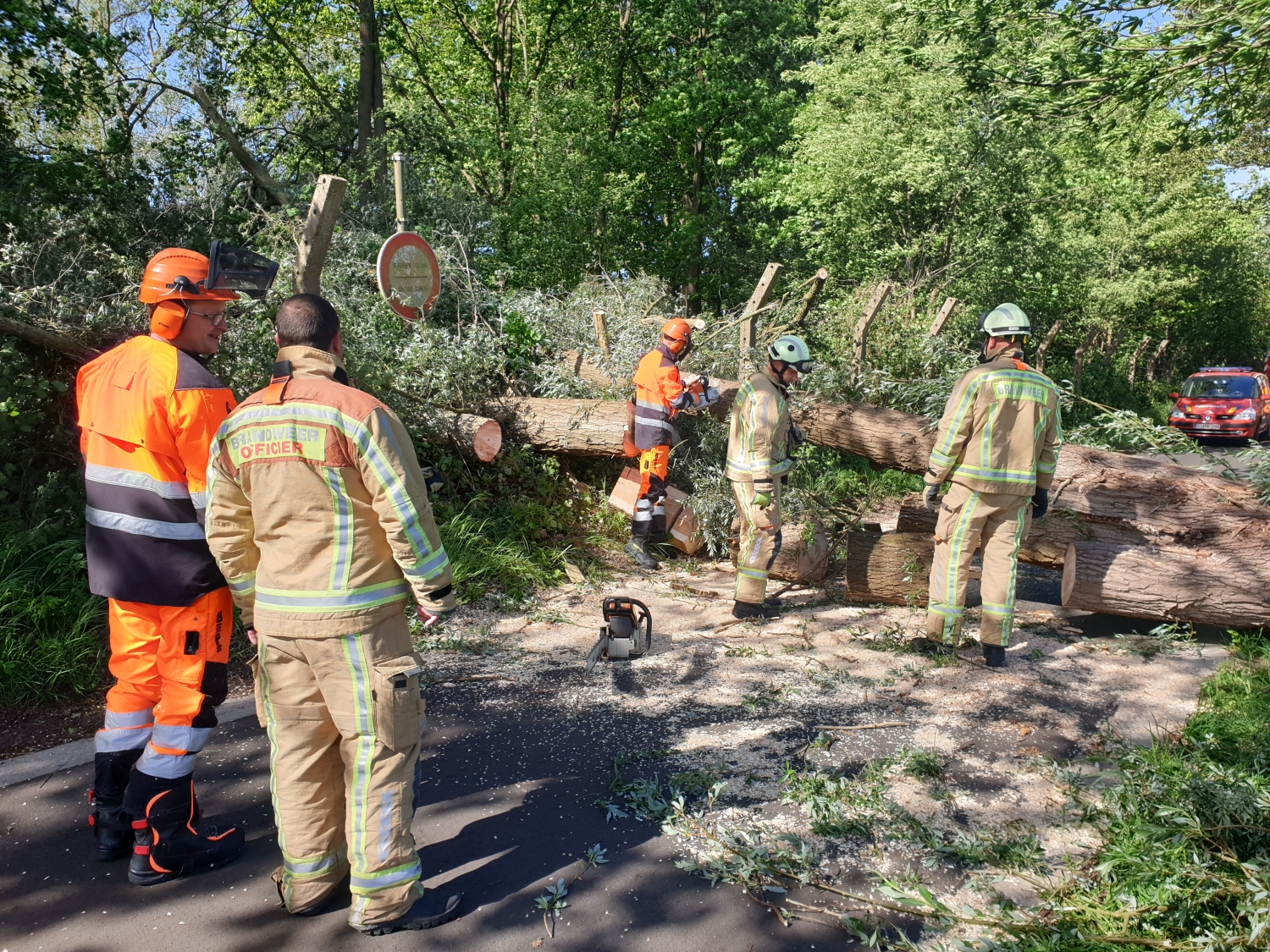 Boom verspert rijbaan in Grobbendonk | RTV