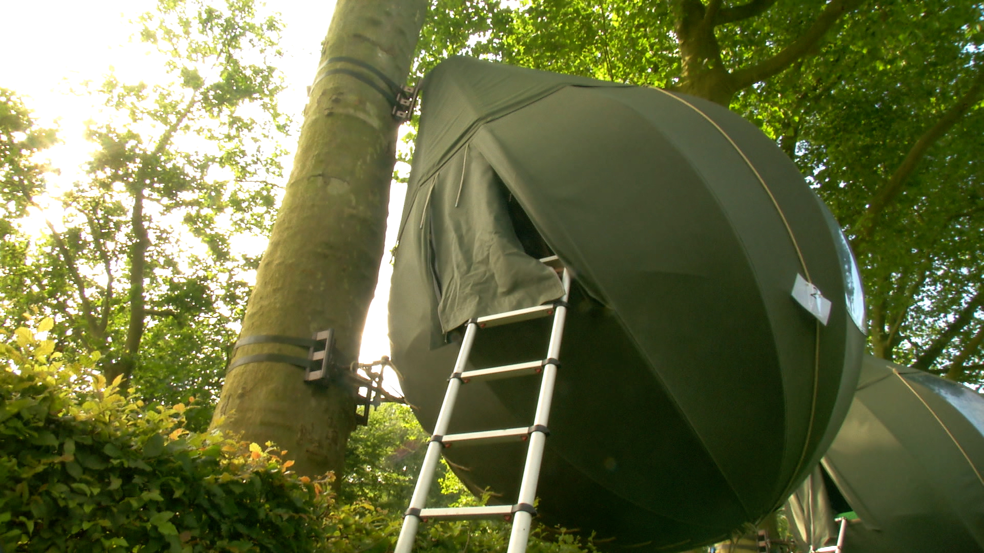 Pitkamperen in Bornem wordt elk jaar populairder | RTV