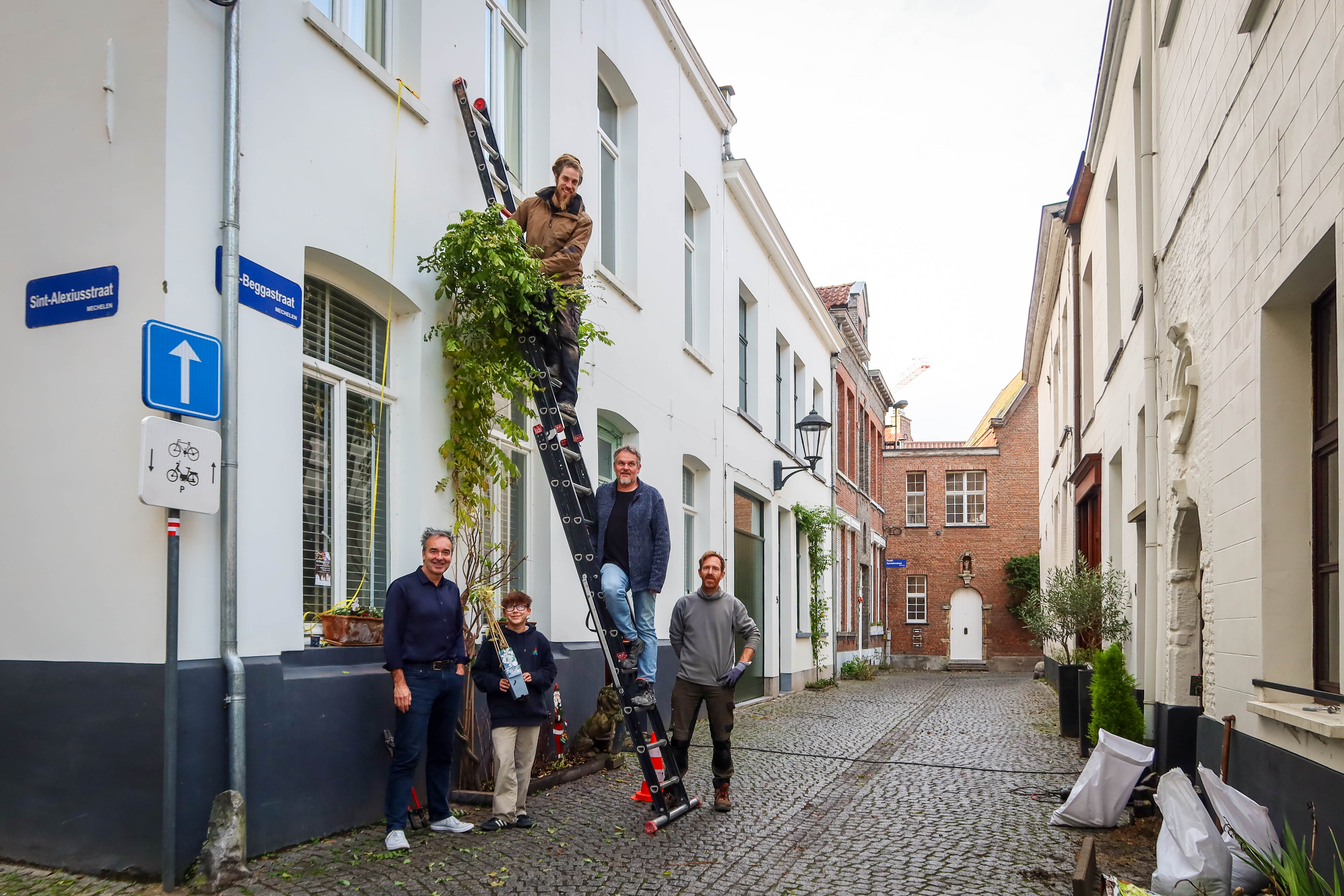 Stad Mechelen roept op om groenslinger te hangen aan gevel ...