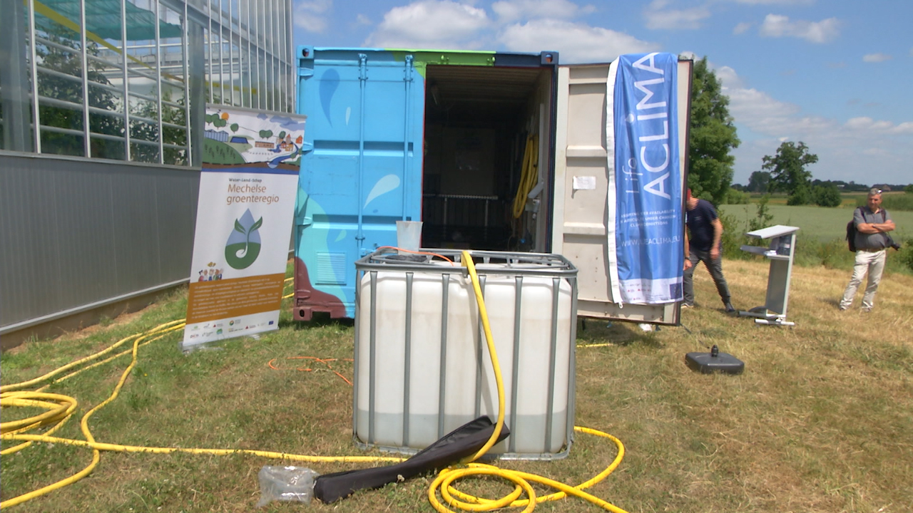 Tomatenteler uit Putte test als eerste waterzuiveringscontainer | RTV