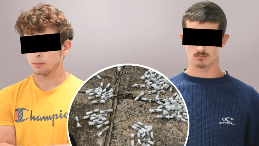 Twee Kempense jongemannen van 18 in Keniaanse cel na smokkel van mieren ...