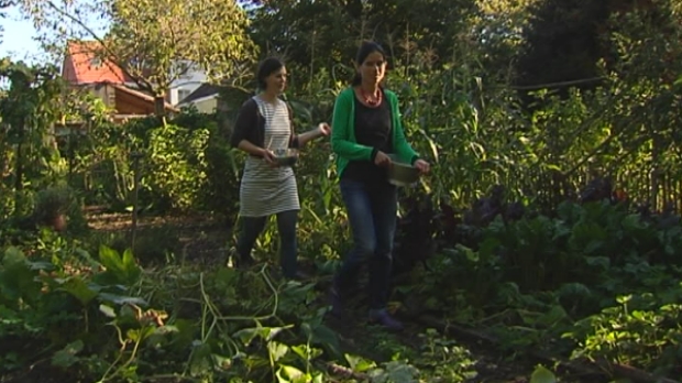 Climate Express wil 300 Mechelaars naar klimaattop | RTV