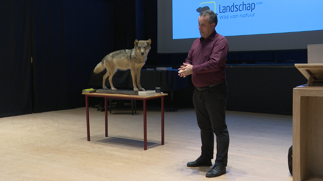 Wolvenexpert Jan Loos geeft tekst en uitleg aan Molse studenten | RTV