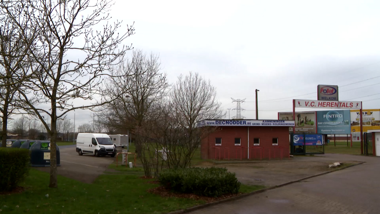 SKS Herentals staat open voor fusie met VC Herentals | RTV