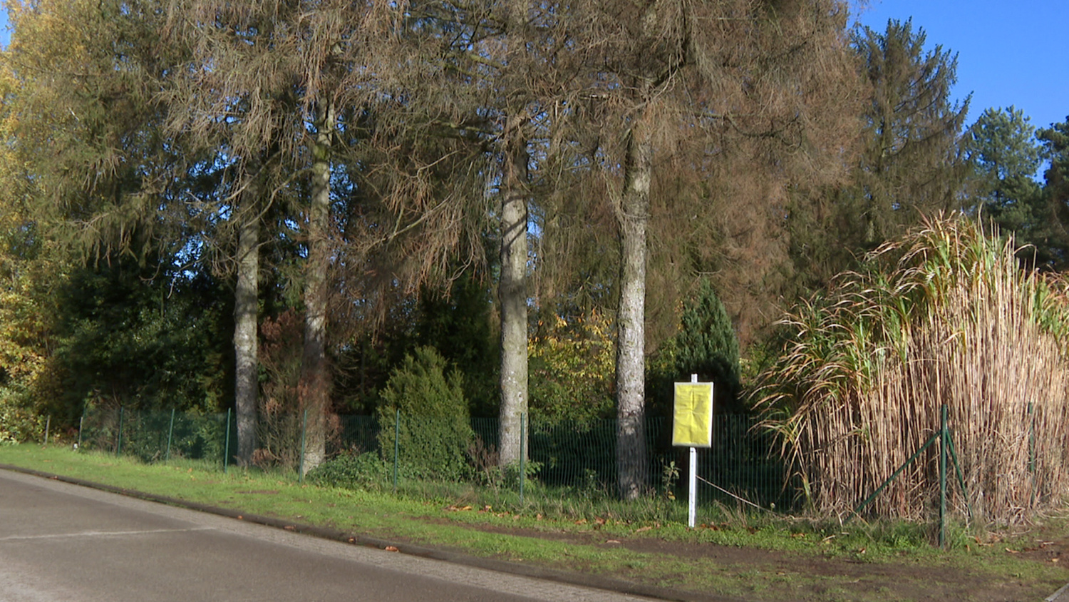 Hoger beroep tegen verkaveling Kerkepad in Wechelderzande | RTV