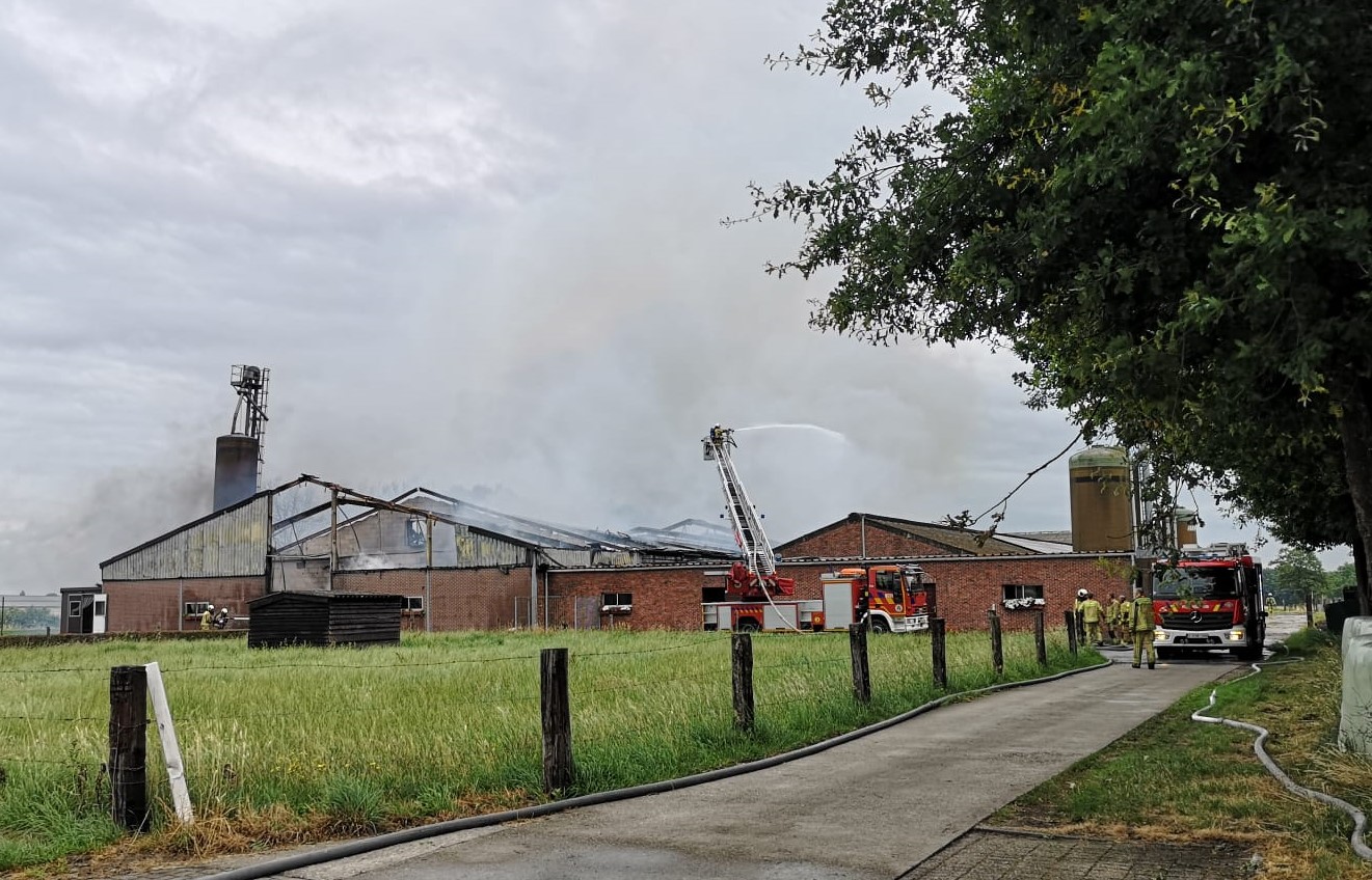 Zware uitslaande brand bij pluimveebedrijf in Merksplas | RTV