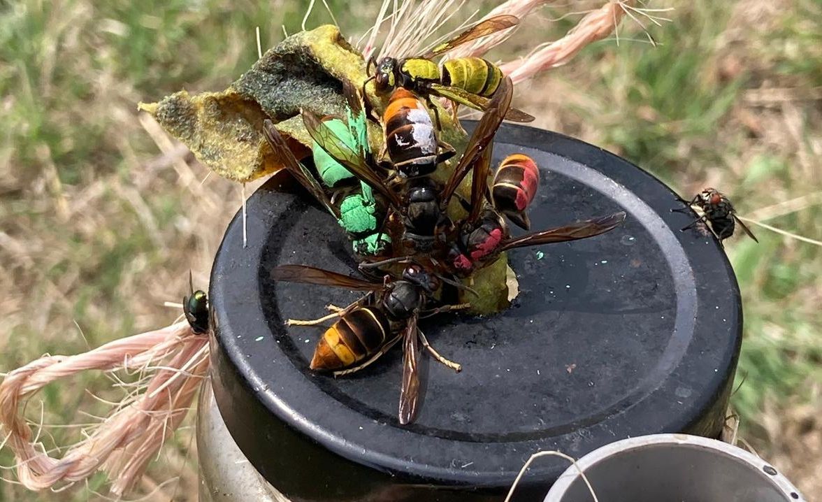 The triplex celeste onlyfans leak the initial time meeting