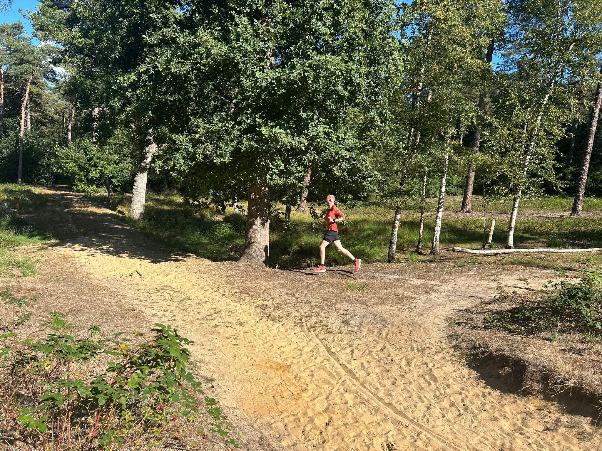 Eerste trail-marathon Tielen-Herentals is spek naar de bek van Gelenaar ...