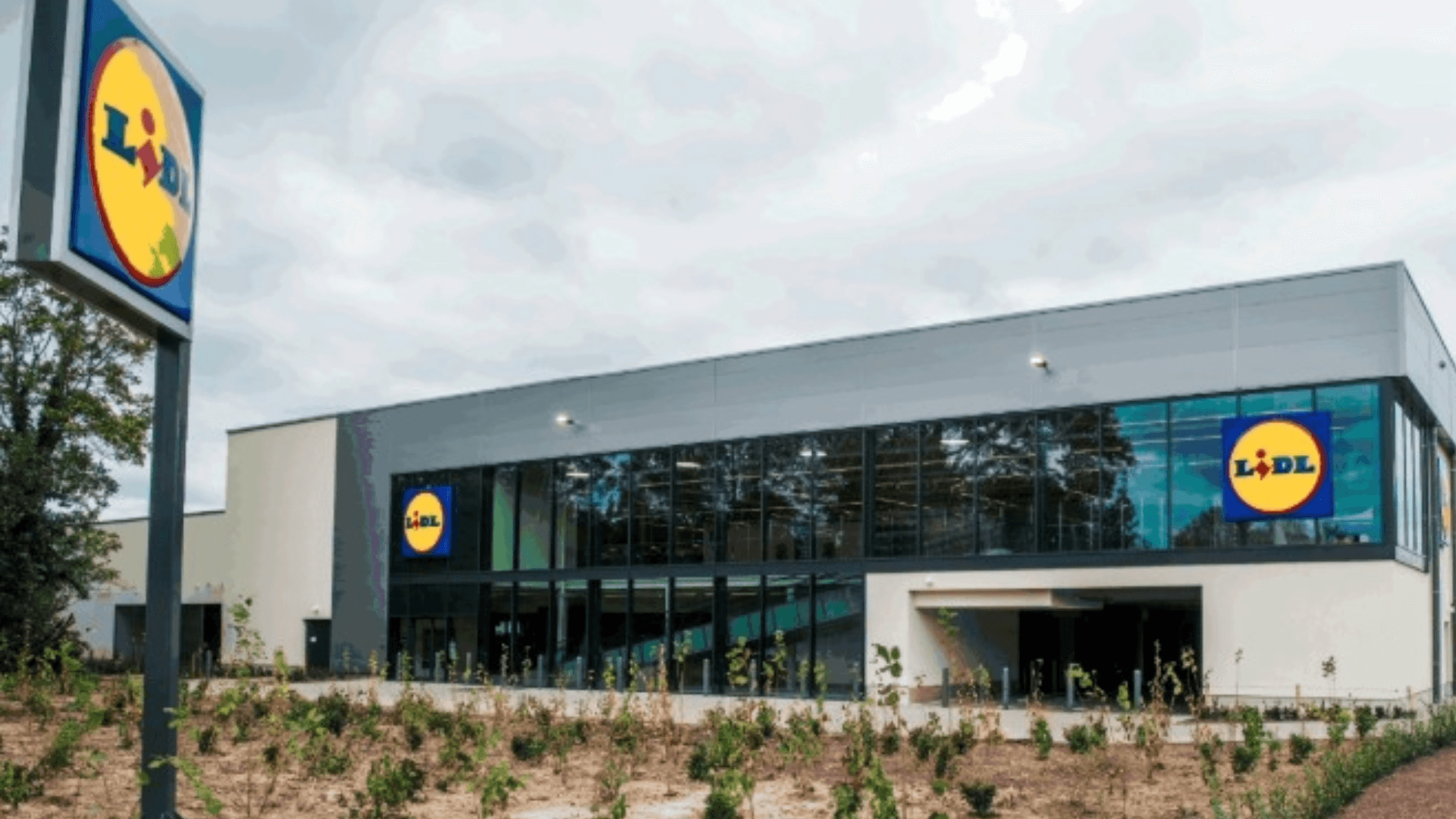 Lidl opent deuren van nieuwe winkel in Lier: 1500 m² groot ...