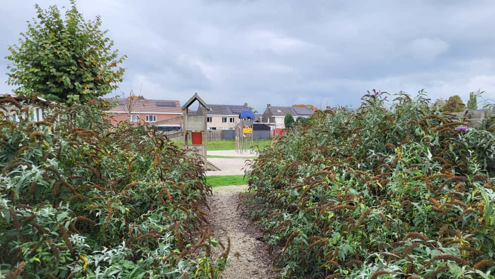 Grote zoekactie in Weelde-Statie: gevangene gevat | RTV