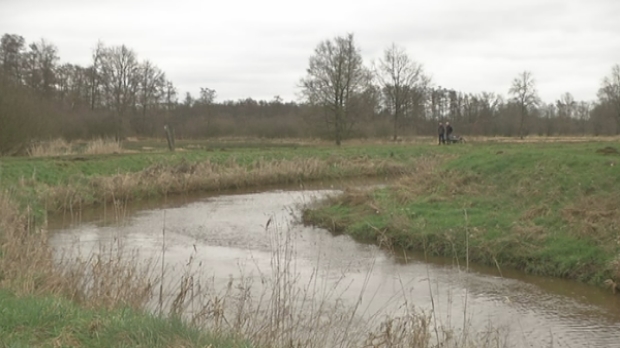 (M) Legale EDTA zorgt voor sterfte waterplanten Grote Nete | RTV
