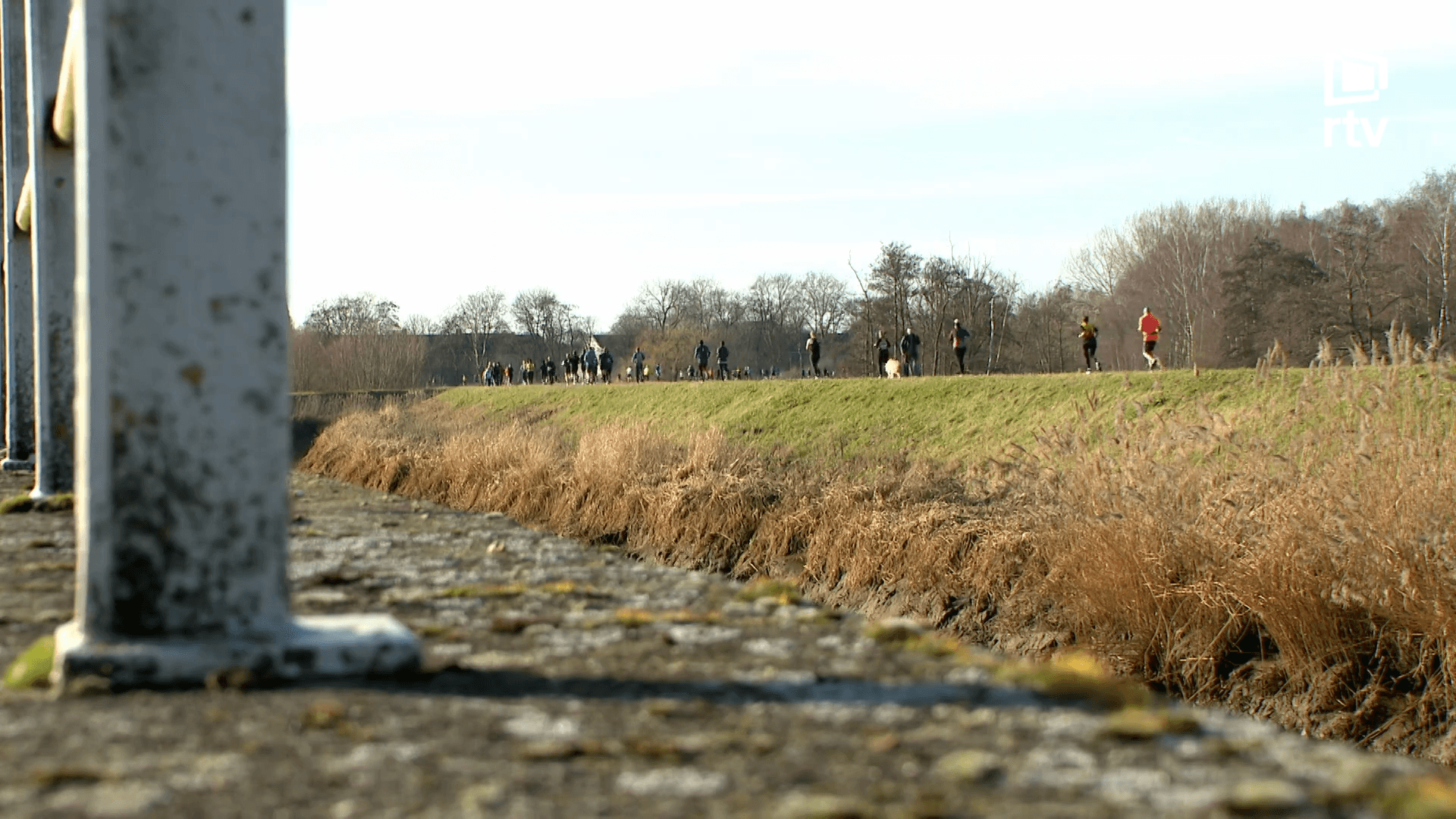 Halve marathon door het groen: natuurloop zet Lier in beweging | RTV
