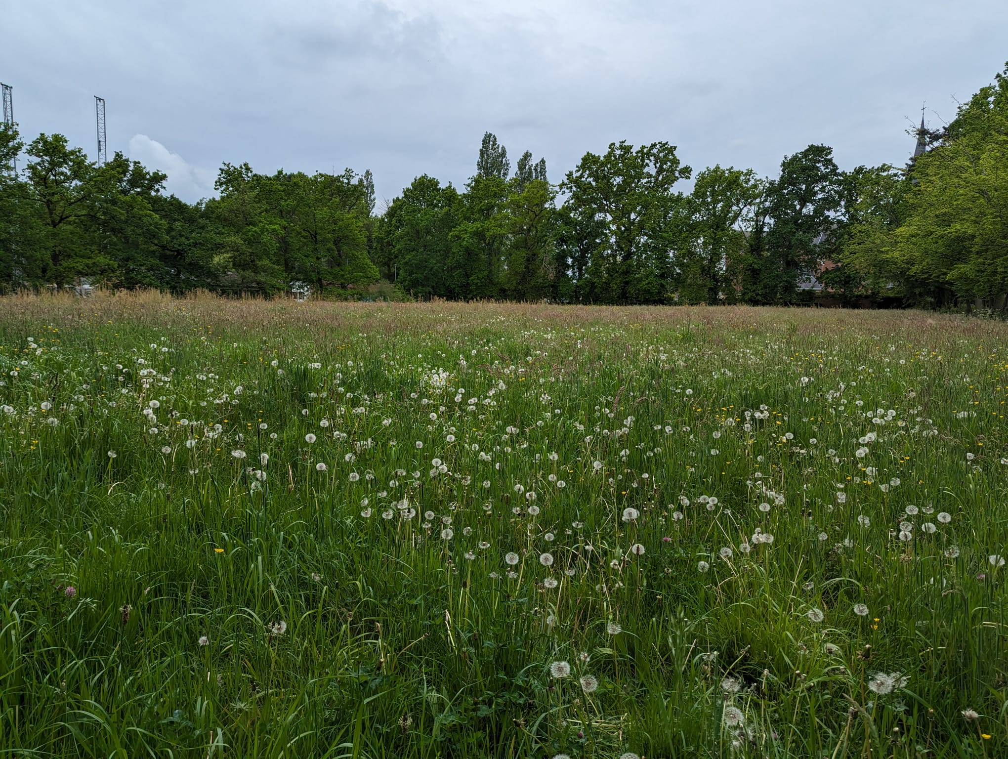 Inwoners Heist-Goor willen dringend terug beweging zien op plaatselijke ...