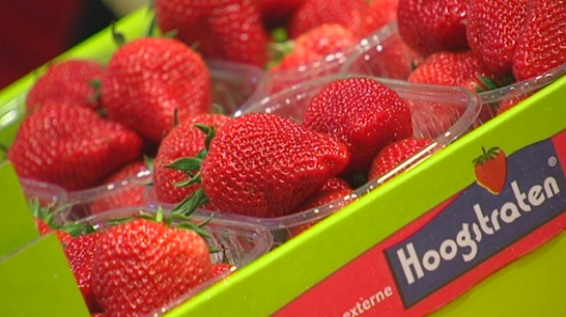 Goede zomer voor Hoogstraatse aardbeien | RTV