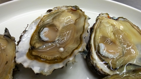 Visrestaurant in Beerse vindt grote parel in oester | RTV