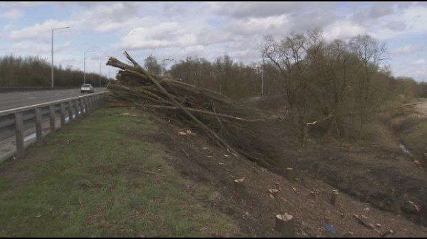 "Waarom moeten alle bomen langs E19 weg?" | RTV