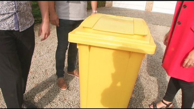 Gele containers zijn succes, geen taxusinzameling dit jaar | RTV