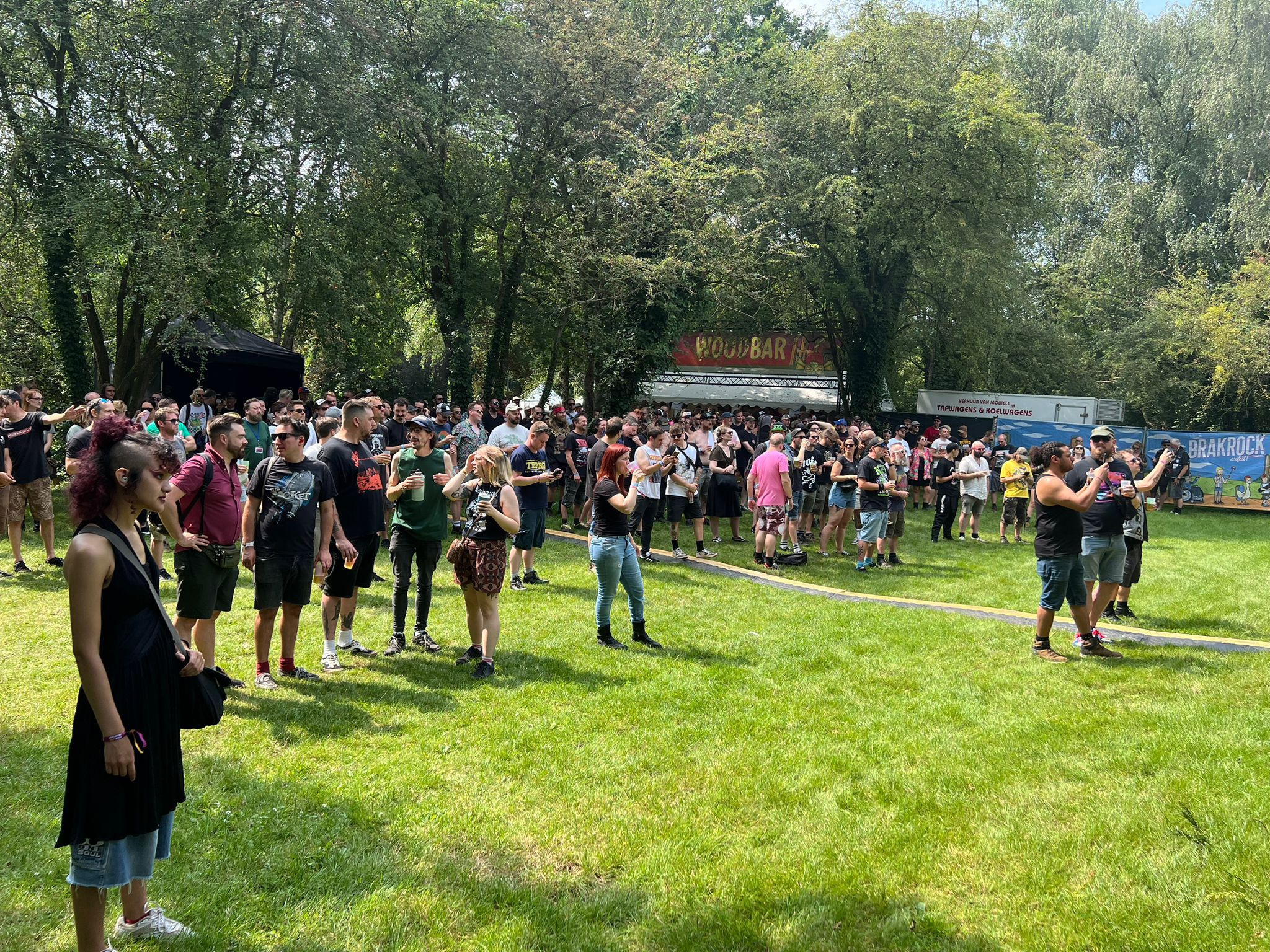 Rocken aan de ruïne: kasteel Ter Elst toneel voor punkfestival Brakrock ...