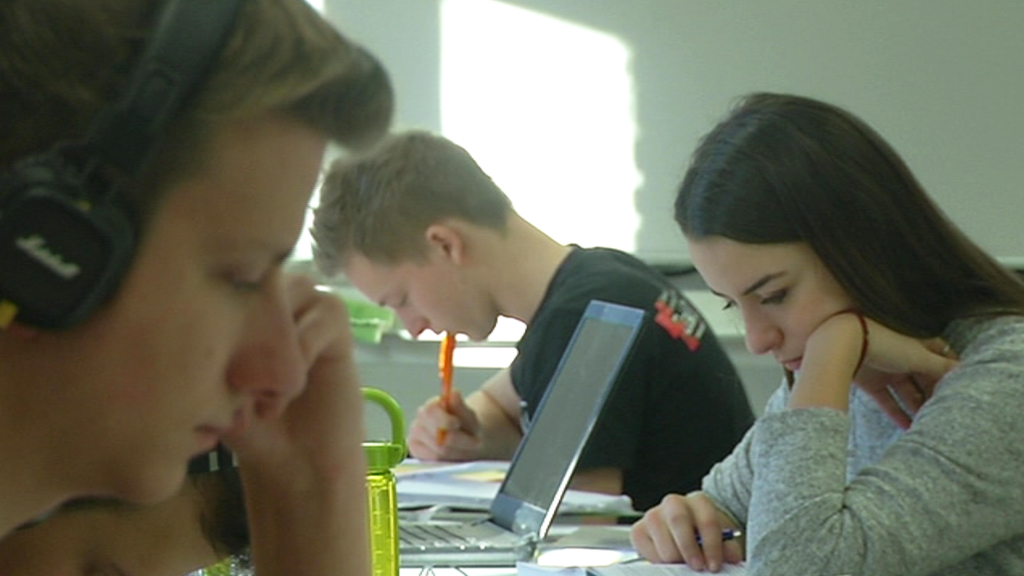 Jong Groen wil Berlaarse bib als studeerplek | RTV