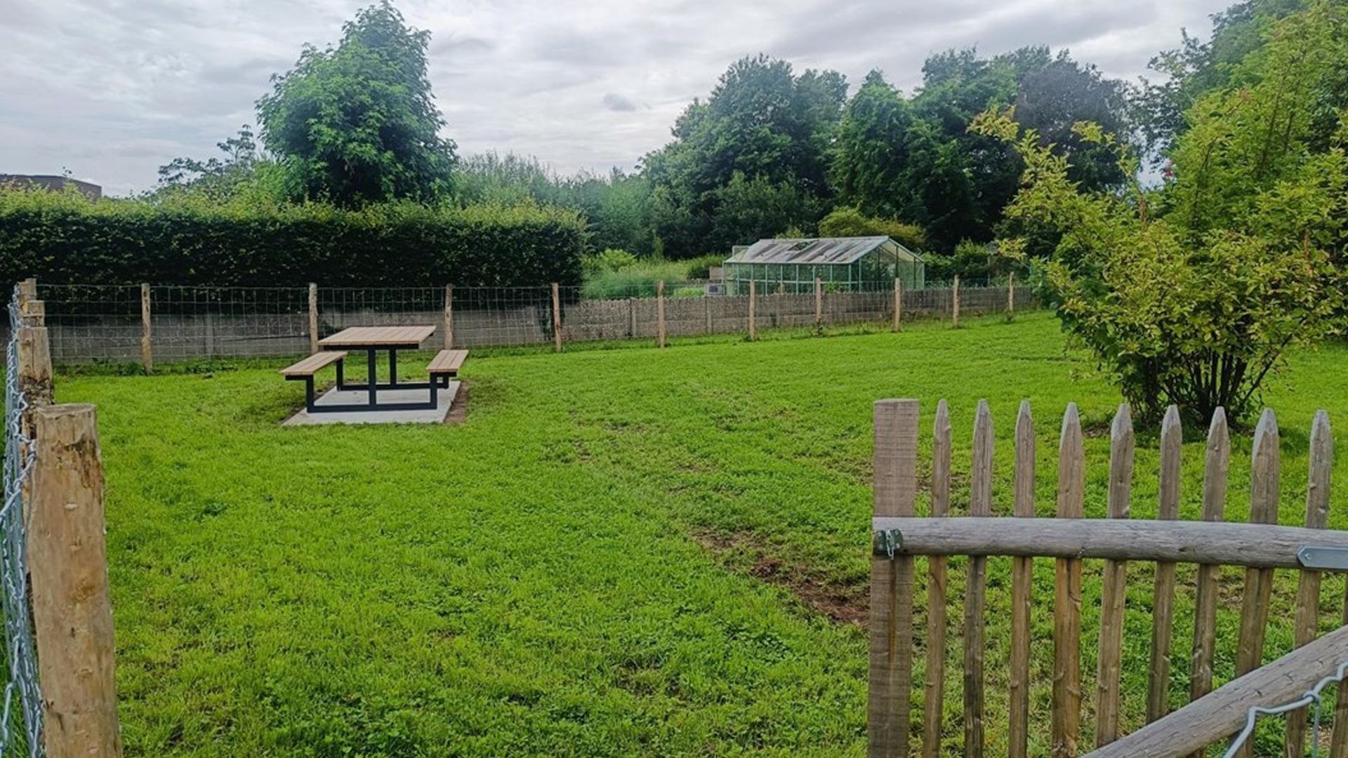 Honden kunnen vrij rennen en spelen in nieuwe losloopzone in Holven | RTV