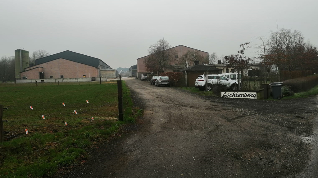 Pluimveebedrijf reageert: "We doen alles volgens de regels" | RTV