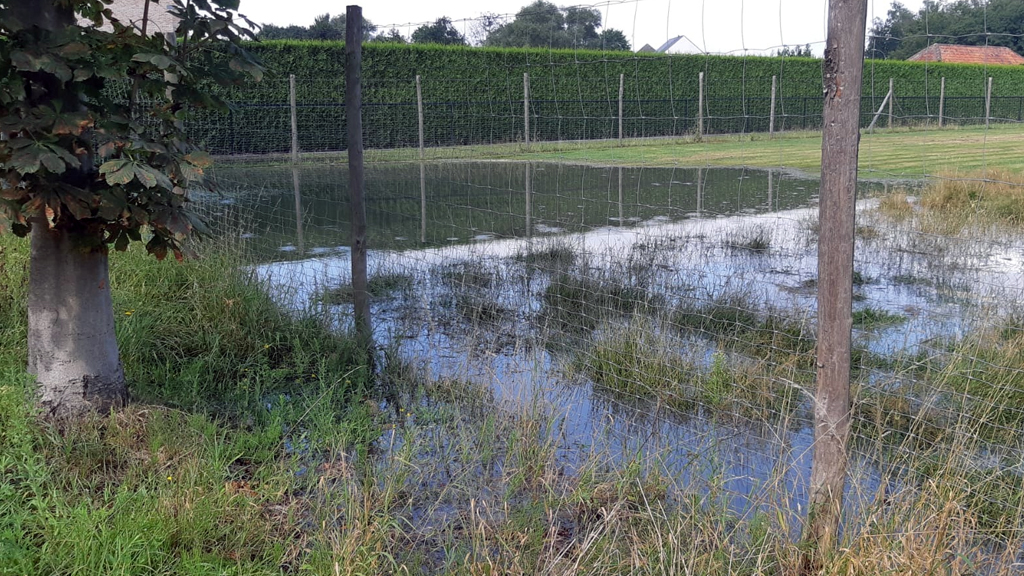 Weide ondergelopen in Peulis door breuk in waterleiding | RTV