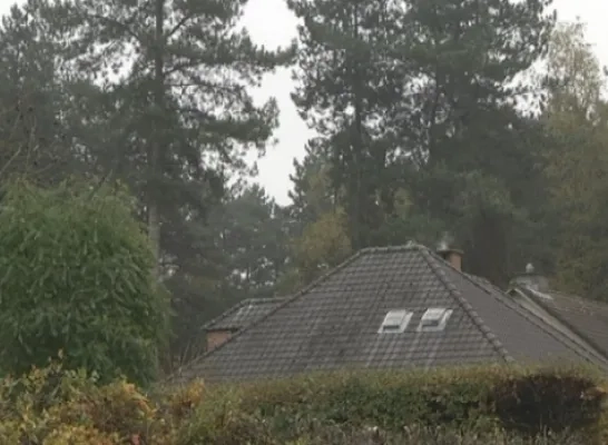 Bos verdwijnt voor sociale woningen | RTV Bos verdwijnt voor sociale woningen | RTV
